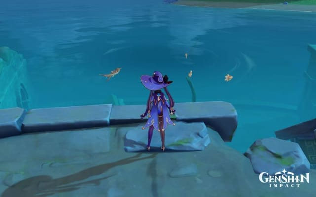Rusty Koi & Golden Koi in Genshin Impact: Fishing location and best ...