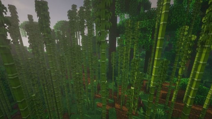 What can you do with bamboo in Minecraft?