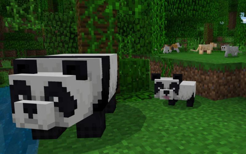 Top 5 things that attract animals in Minecraft