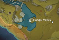 All 16 Medaka locations in Genshin Impact