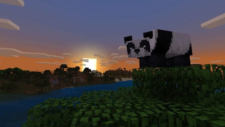 Minecraft Panda's personality and appearance: Everything you need to know