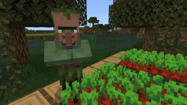 Why are swamp villagers rare in Minecraft?