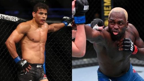 Paulo Costa Stats, News, Professional Records, Pictures, Height ...