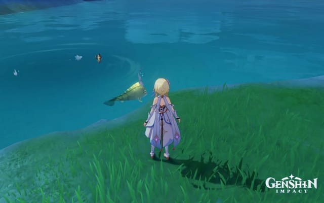 All 5 Pufferfish locations in Genshin Impact: interactive map location ...