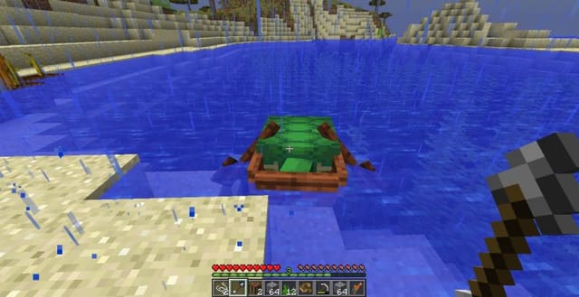 Top 5 things you probably didn't know about turtles in Minecraft