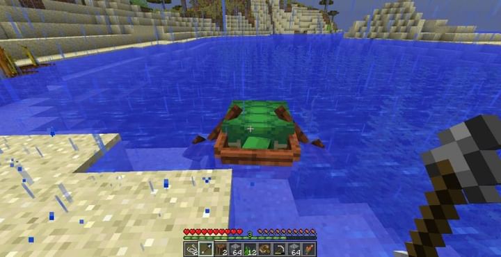 Top 5 things you probably didn't know about turtles in Minecraft