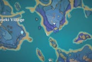 All 16 Medaka locations in Genshin Impact