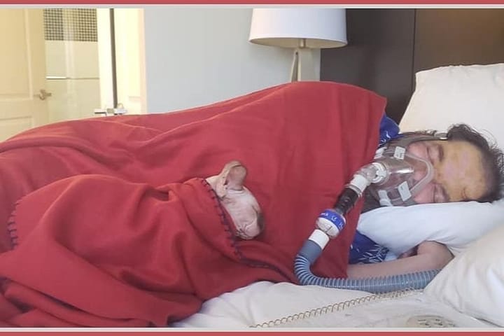 What is COPD? Christopher Ayres' cause of death explored as Dragon Ball ...