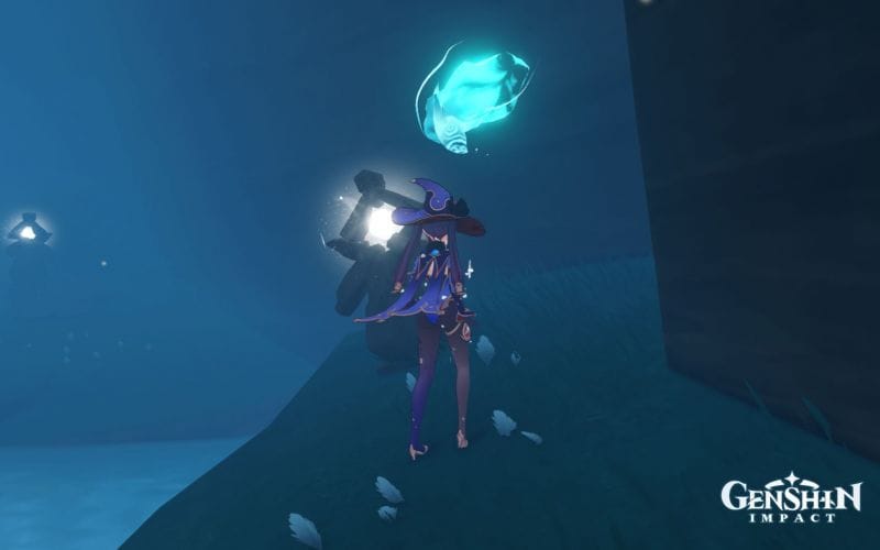 Find your way through the mist and make an offering at the perches ...