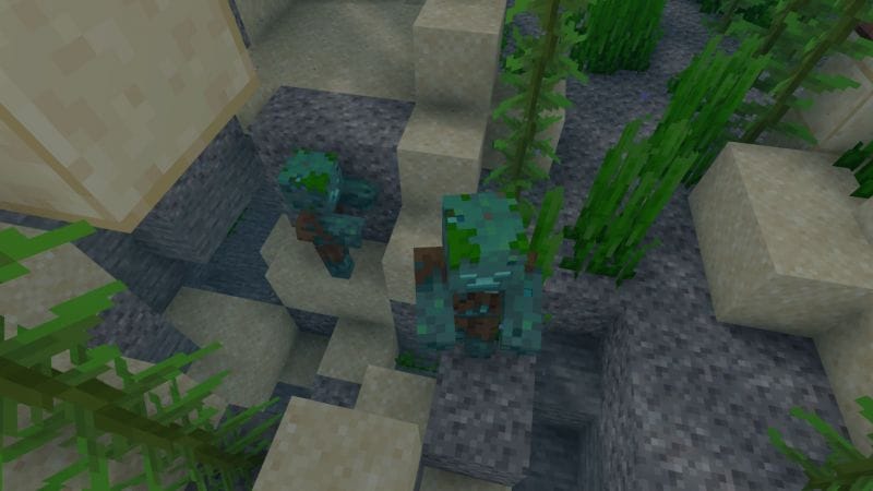 Ocean ruins in Minecraft: All you need to know