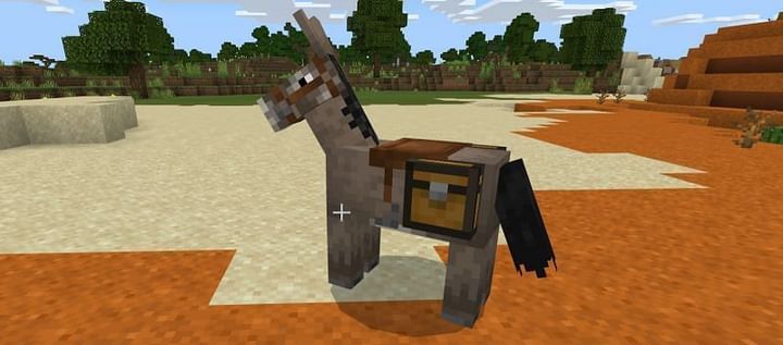 Ranking rideable mobs in Minecraft