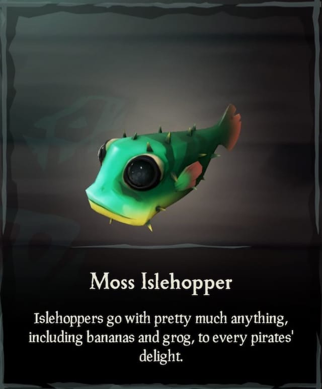 How to catch every Islehopper in Sea of Thieves
