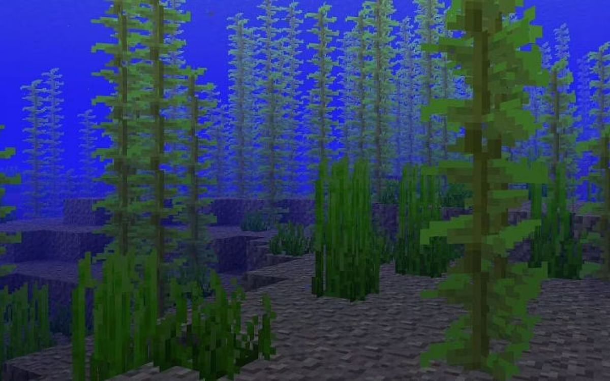 How to build a kelp farm in Minecraft