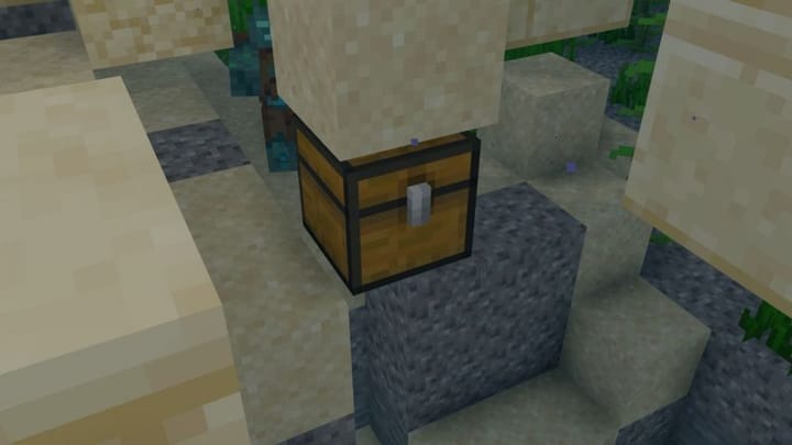 Ocean ruins in Minecraft: All you need to know