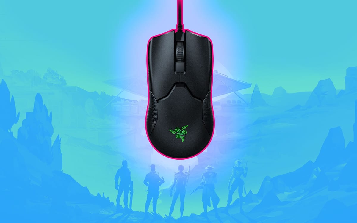 What is Raw Input Buffer in Valorant and how does it affect gameplay?