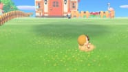 Pitfall Seed In Animal Crossing New Horizons How To Get Craft And More Pitfall Seed In Animal Crossing New Horizons How To Get Craft And More