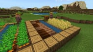 How does random tick speed affect gameplay in Minecraft?