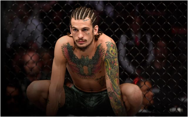 UFC fighters as coaches on upcoming seasons of TUF