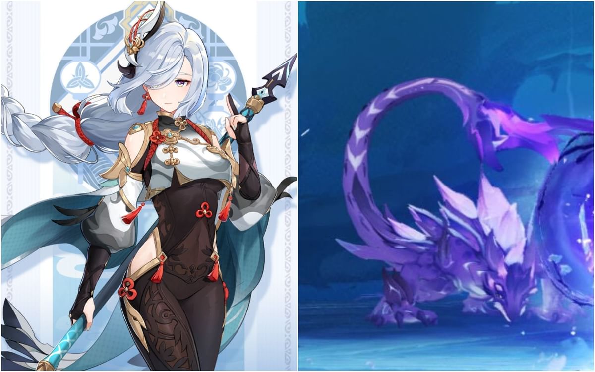 Shenhe's ascension materials in Genshin Impact