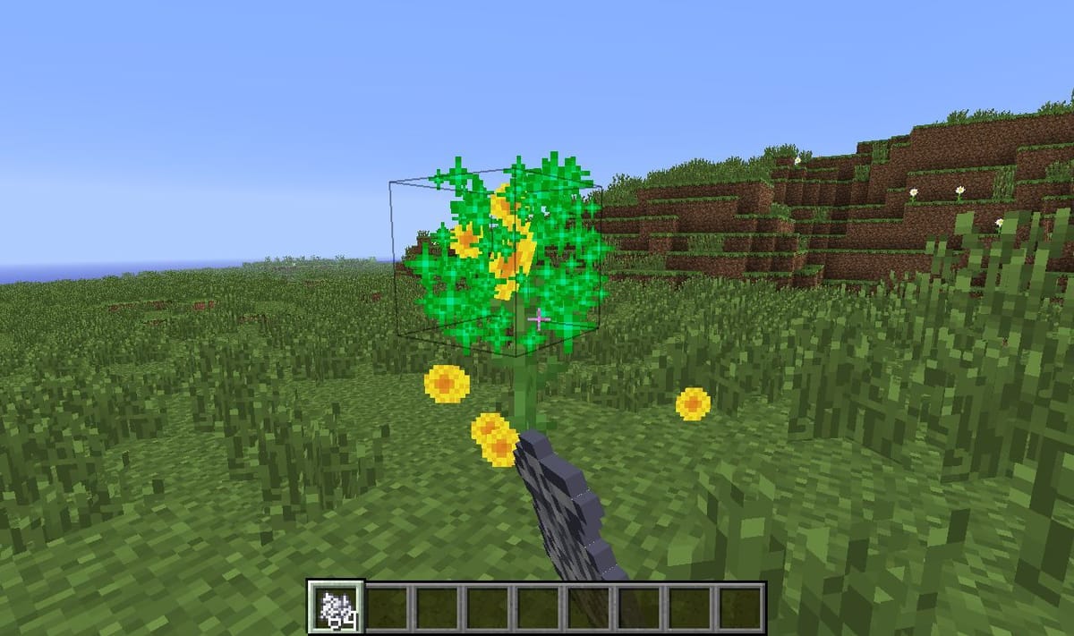 How to grow flowers in Minecraft