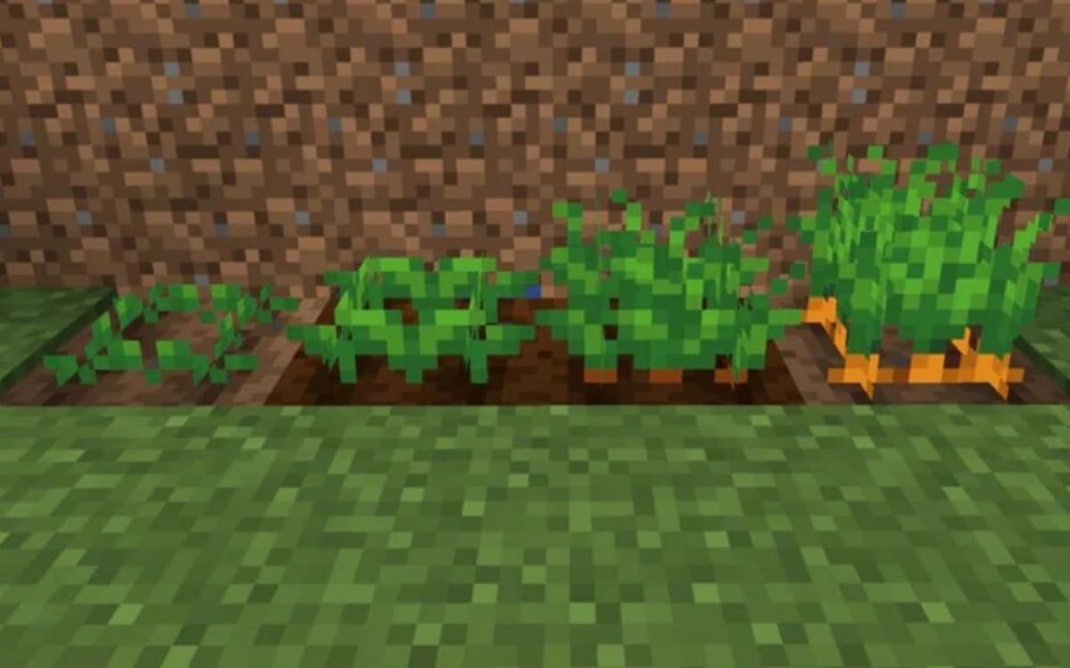 How to change random tick speed in Minecraft