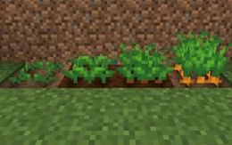 How To Change Random Tick Speed In Minecraft