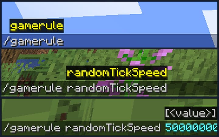 How to change random tick speed in Minecraft
