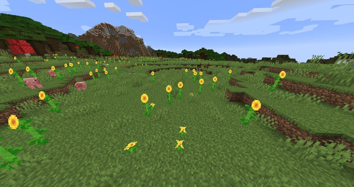 How to grow flowers in Minecraft
