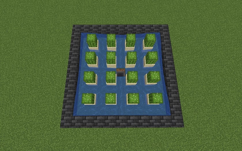 How to make a simple cactus farm in Minecraft