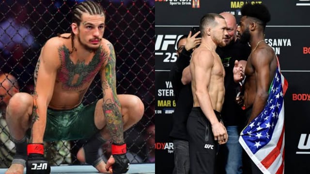 'Aljo is legit' - Sean O'Malley claims Aljamain Sterling will not be an ...