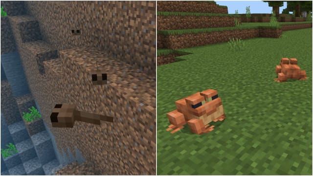 Minecraft Bedrock beta adds frogs for The Wild Update