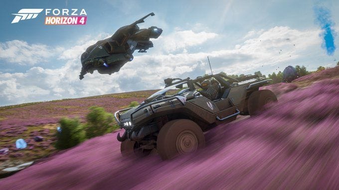 What is Hidden Bad Cactus in Forza Horizon 5?