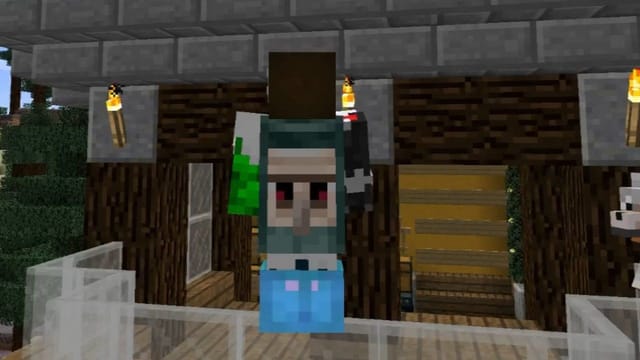 Top 5 most common Minecraft capes