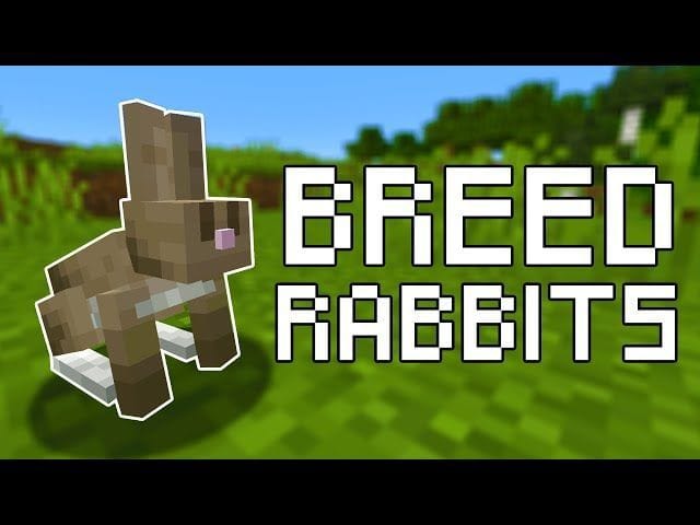 5 best Minecraft food items for villagers