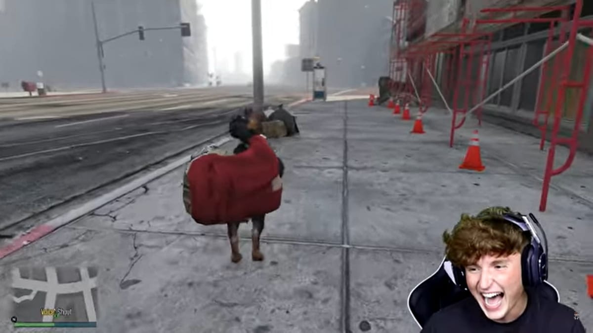 Streamer Caylus pretends to be a pet in GTA 5 using mods