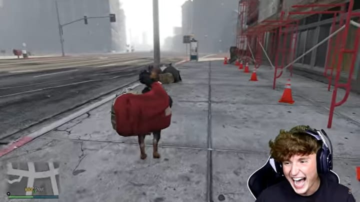 Streamer Caylus pretends to be a pet in GTA 5 using mods