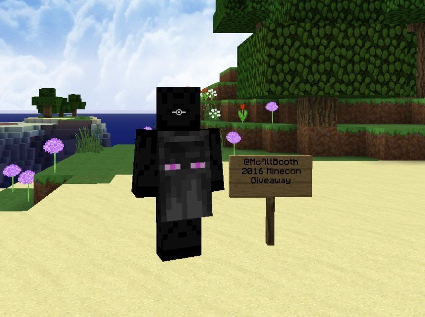 Top 5 most common Minecraft capes