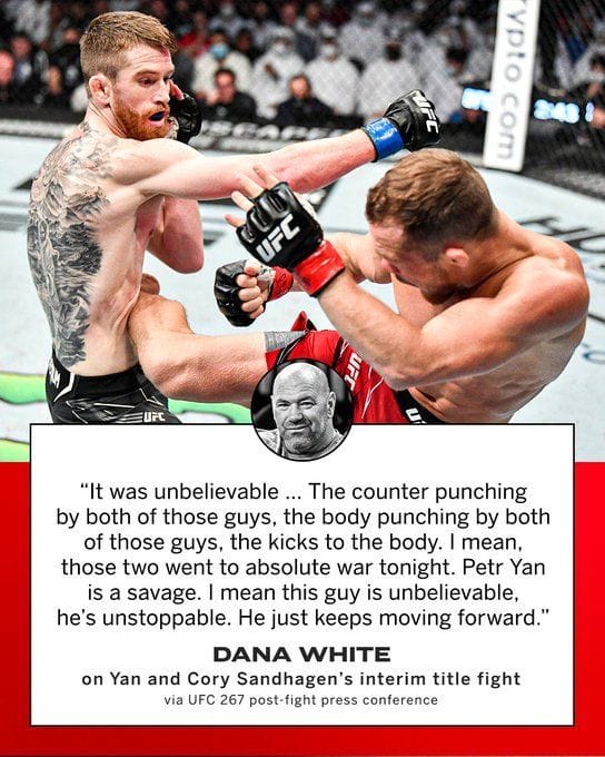 5 most stacked divisions in the UFC right now