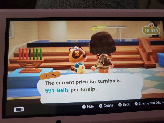 Animal Crossing: New Horizons Stalk Market- How it works, turnip guide ...