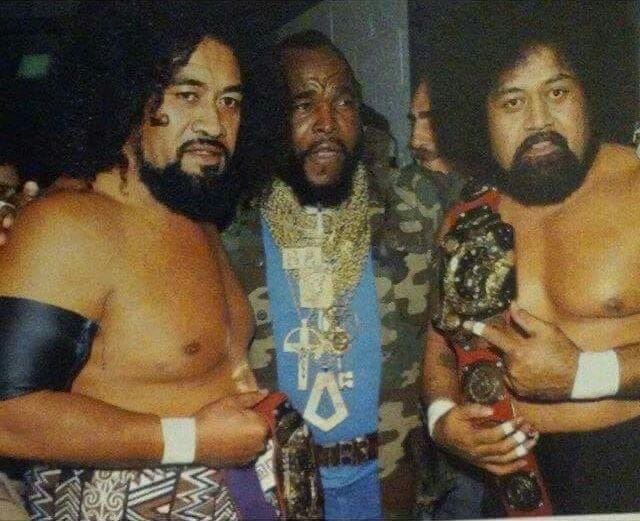 14 siblings who were in WWE at the same time