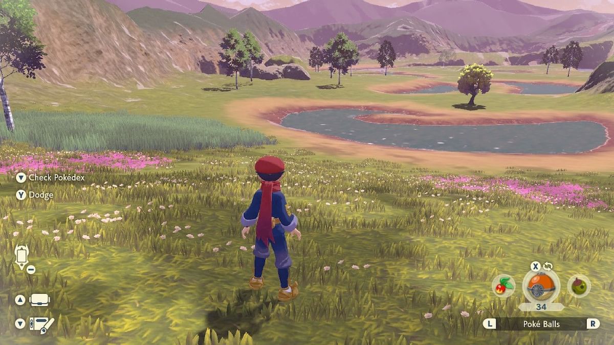 How to catch Eevee in Pokémon Legends: Arceus