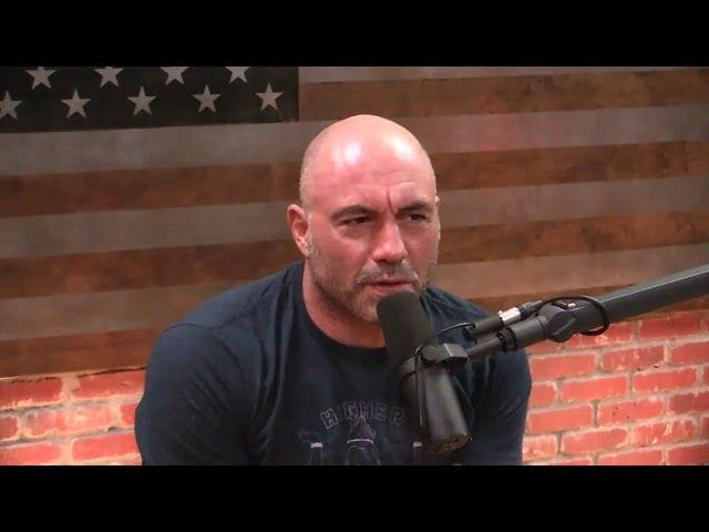 Joe Rogan portobello mushrooms: When Paul Stamets was frightened to ...