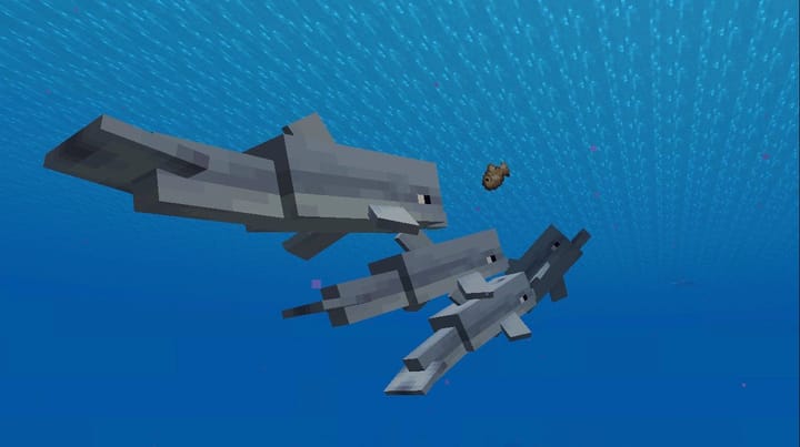 What is Dolphin's grace effect in Minecraft?
