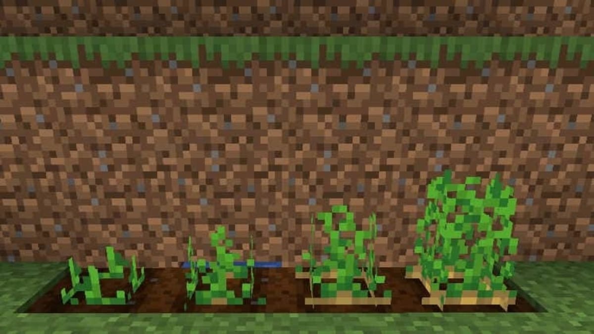 5 best Minecraft food items for villagers