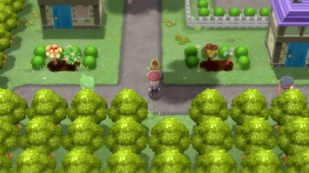 How to get to the Resort Area in Pokemon Brilliant Diamond and Shining ...