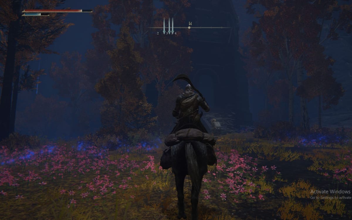 How to complete the Mirage Rise in Elden Ring