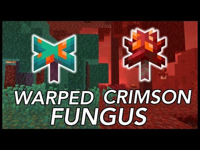 Fungus in Minecraft: Both the types, generation, usage and more