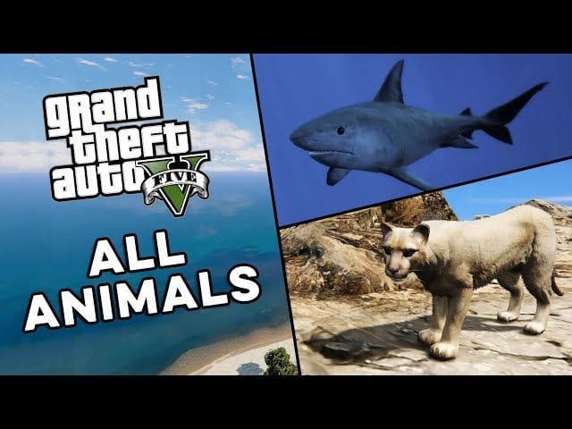 Why GTA 6 should introduce more animals to the game