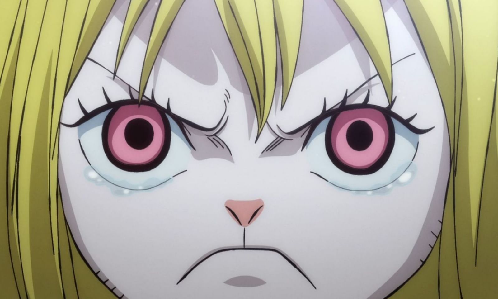 What to expect from One Piece Episode 1009