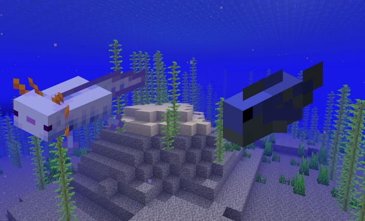 Top 5 aquatic mobs in Minecraft